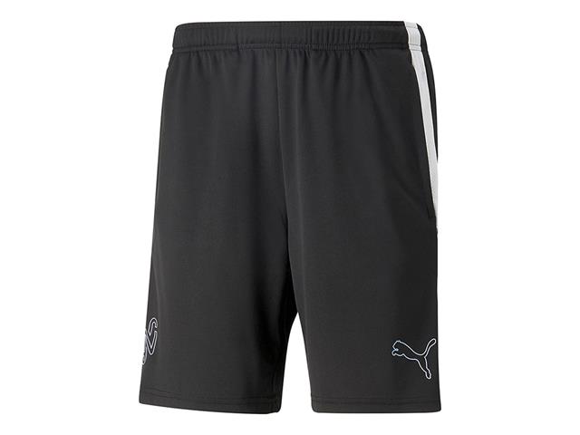 PUMA NJR ショーツ 658328 | フットサル＆サッカー用品 | スポーツショップGALLERY･2